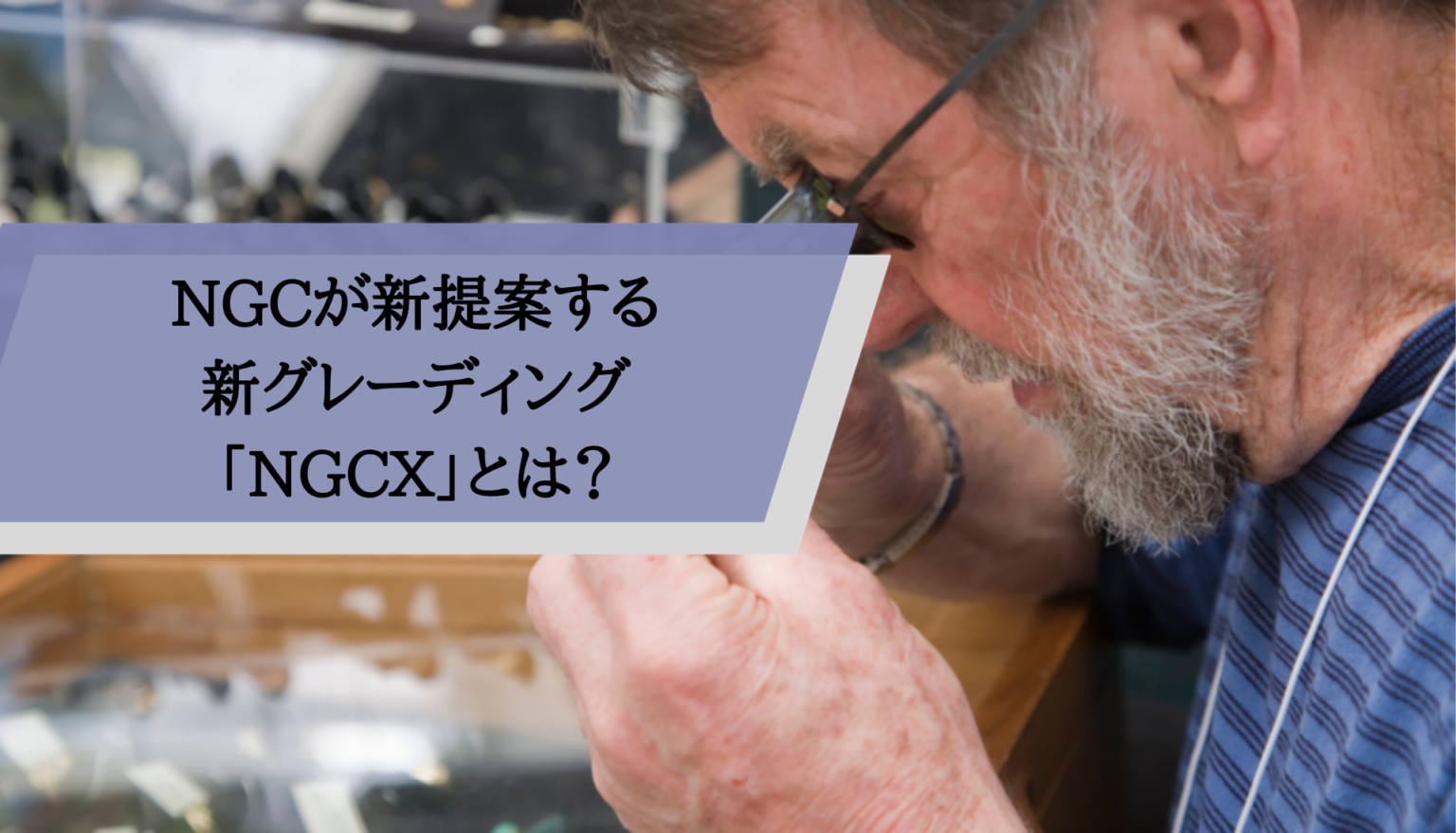 70段階から10段階に！？新グレーディングNGCXとは | アンティークコイン投資ブログ
